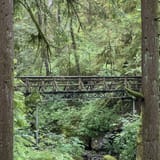 Capilano Canyon and Upper Capilano Pacific Trail Loop, British Columbia ...