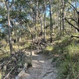 Mount Ninderry Trail, Queensland, Australia - 626 Reviews, Map | AllTrails