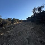Nighthawk Trail to Black Mountain Summit, California - 2,529 Reviews ...