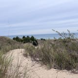 Warren Dunes Trail, Michigan - 1,558 Reviews, Map | AllTrails