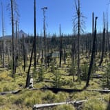 Patjens Lakes Loop Trail, Oregon - 340 Reviews, Map | AllTrails