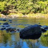 Contoocook River Trail, New Hampshire - 125 Reviews, Map | AllTrails