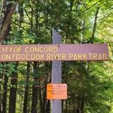 Contoocook River Trail, New Hampshire - 125 Reviews, Map | AllTrails