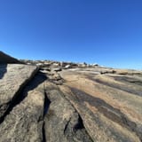 Halibut Point Trail, Massachusetts - 1,550 Reviews, Map | AllTrails