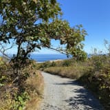 Halibut Point Trail, Massachusetts - 1,550 Reviews, Map | AllTrails