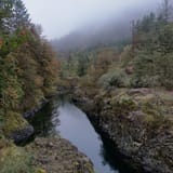 Wilson River Trail, Oregon - 822 Reviews, Map | AllTrails