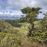 Mānana Ridge Trail, Oahu, Hawaii - 1,000 Reviews, Map | AllTrails