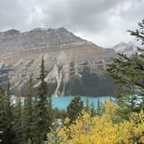 Bow Summit Viewpoint, Alberta, Canada - 1,229 Reviews, Map | AllTrails
