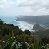 Mercer Bay Loop Track, Auckland, New Zealand - 796 Reviews, Map | AllTrails