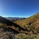 Emigration Canyon Miners Trail, Utah - 883 Reviews, Map | AllTrails