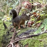 Nolte State Park Deep Lake, Washington - 609 Reviews, Map | AllTrails