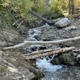 Red Lake Trail, Utah - 294 Reviews, Map | AllTrails