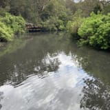 Lane Cove Riverside Walk, New South Wales, Australia - 1,811 Reviews ...