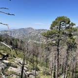 Box Spring via Box Camp Trail, Arizona - 570 Reviews, Map | AllTrails