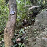 Bukit Dinding via Kazumi Trail, Kuala Lumpur, Malaysia - 220 Reviews ...