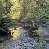 Chee Dale Gorge Circular, Derbyshire, England - 2,096 Reviews, Map ...