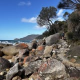 Wilsons Promontory Southern Circuit, Victoria, Australia - 62 Reviews ...