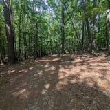 Jones Bridge Trail , Georgia - 3,487 Reviews, Map | AllTrails