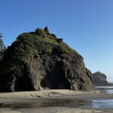 Second Beach, Washington - 2,138 Reviews, Map | AllTrails