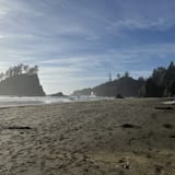 Second Beach, Washington - 2,138 Reviews, Map | AllTrails