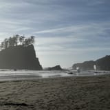 Second Beach, Washington - 2,138 Reviews, Map | AllTrails