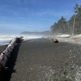Rialto Beach Trail, Washington - 349 Reviews, Map | AllTrails