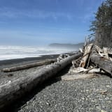 Rialto Beach Trail, Washington - 349 Reviews, Map | AllTrails