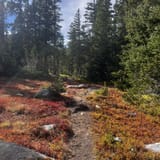 Mitchell Lake Trail, Colorado - 629 Reviews, Map | AllTrails