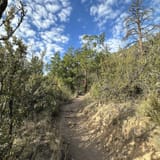 Fatmans Loop Trail, Arizona - 5,937 Reviews, Map | AllTrails