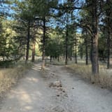 Fatmans Loop Trail, Arizona - 5,937 Reviews, Map | AllTrails