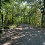 Mount Royal Park Loop, Quebec, Canada - 2,251 Reviews, Map | AllTrails