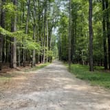 Sycamore Trail Loop, North Carolina - 1,842 Reviews, Map | AllTrails