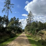 Brockenhurst and the Tall Trees Trail Circular, Hampshire, England ...