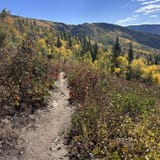 Thunderhead Hiking Trail, Colorado - 1,052 Reviews, Map | AllTrails