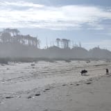 Bayocean Peninsula, Oregon - 709 Reviews, Map | AllTrails