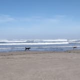 Bayocean Peninsula, Oregon - 710 Reviews, Map | AllTrails