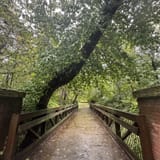 Anchorage Trail, Kentucky - 765 Reviews, Map | AllTrails