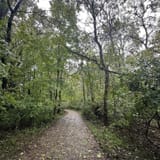 Anchorage Trail, Kentucky - 757 Reviews, Map | AllTrails