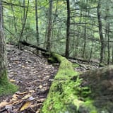Bull Wheel to High Peter's Kill Trail, New York - 1,268 Reviews, Map ...