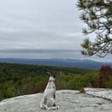 Bull Wheel to High Peter's Kill Trail, New York - 1,268 Reviews, Map ...