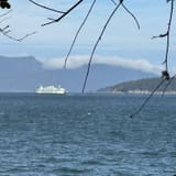 Washington Park Loop Road, Washington - 1,886 Reviews, Map | AllTrails