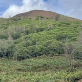 Nicky Nook Circular, Lancashire, England - 1,242 Reviews, Map | AllTrails