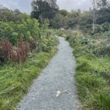 Nicky Nook Circular, Lancashire, England - 1,242 Reviews, Map | AllTrails