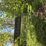 Alberton Road Trail, Maryland - 1,393 Reviews, Map | AllTrails