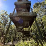 Parnell Tower Trail, Wisconsin - 956 Reviews, Map | AllTrails