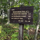 Beaver Brook Trail to Mount Moosilauke, New Hampshire - 1,401 Reviews ...