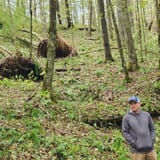 Black Mountain - Kentucky Highpoint, Kentucky - 209 Reviews, Map ...