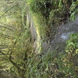 Northern State Recreation Area Loop, Washington - 578 Reviews, Map ...