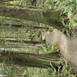 Northern State Recreation Area Loop, Washington - 578 Reviews, Map ...