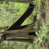 Northern State Recreation Area Loop, Washington - 578 Reviews, Map ...